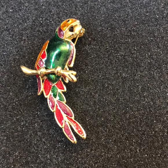 Jewelry | Parot Pin Brooch | Poshmark